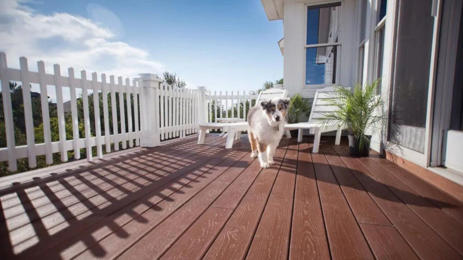 How to Clean Trex Decking: 2026 Step-by-Step Composite Deck Guide